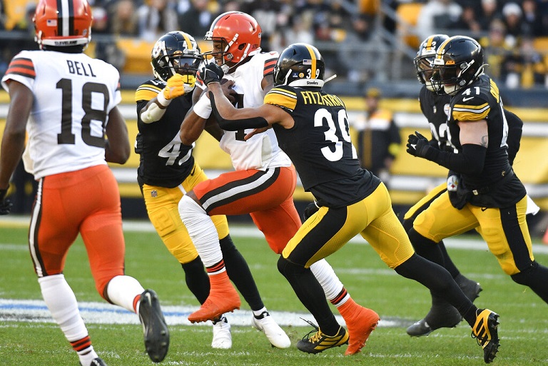 Steelers beat Browns 28-14 but miss out on playoffs – Venango Extra.com