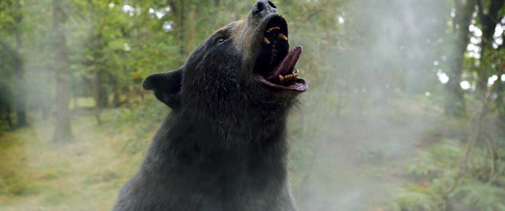 ‘Cocaine Bear’ is here to strike a blow to staid Hollywood – Venango ...